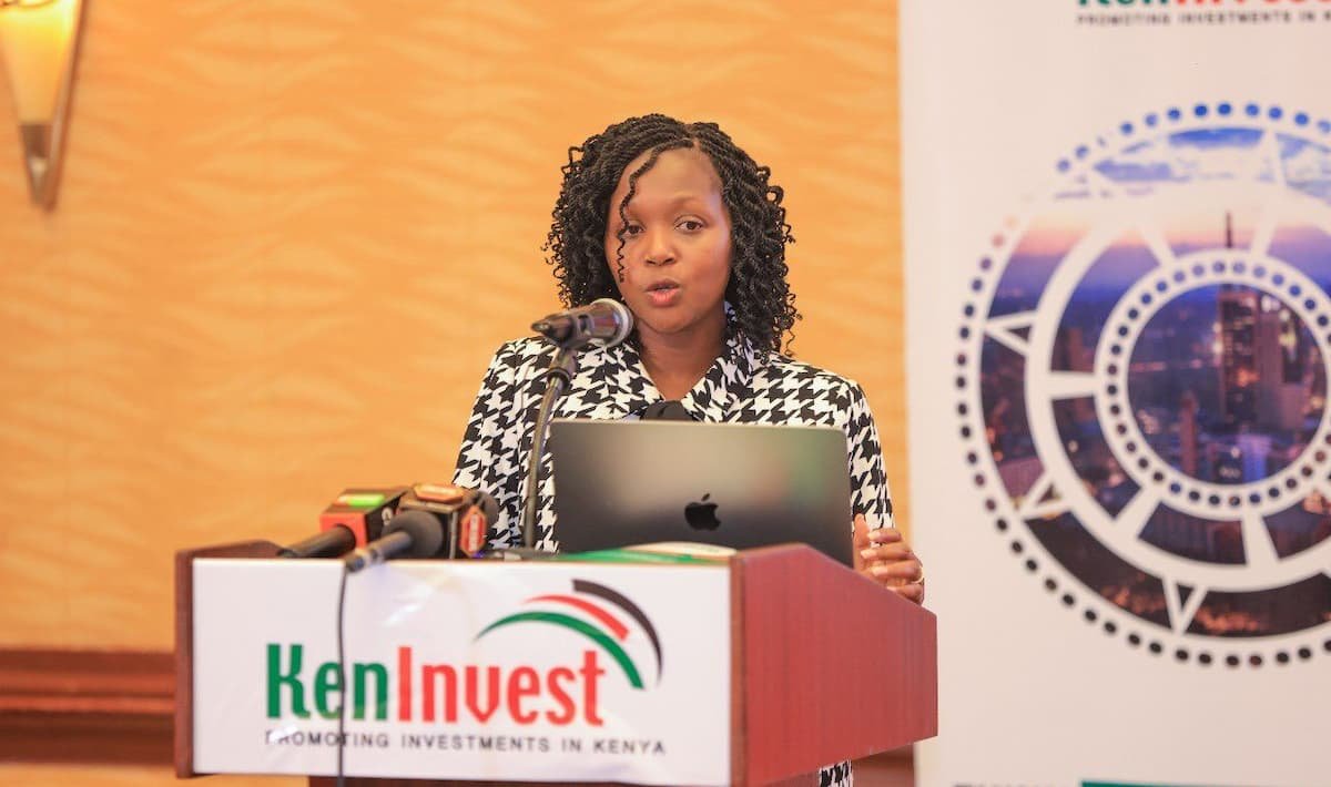 Kenya Eyes Eyes Nigeria for More African Visits in Tourism